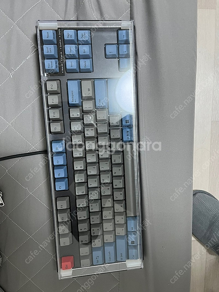 리얼포스 R3 45g 유선 그레이블루 키보드 루프 키보드마우스스피커 중고나라