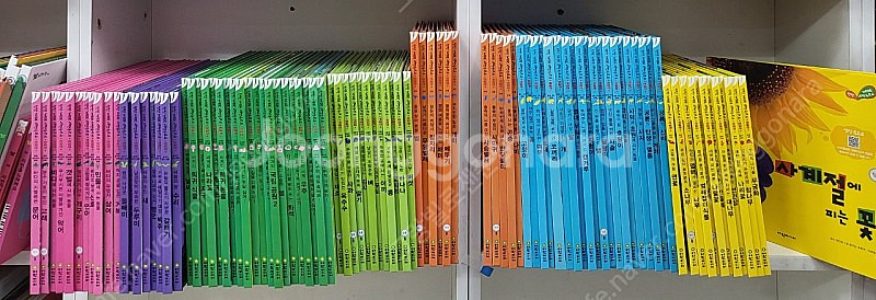 여원탄탄와이드자연속으로 완결판ㆍ세이펜가능ㆍ컨디션굿 유아동도서음반 중고나라