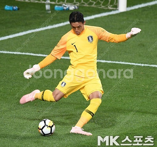 대한민국 국가대표 선수지급용 골키퍼 Gk 국대 유니폼 축구의류축구화 중고나라