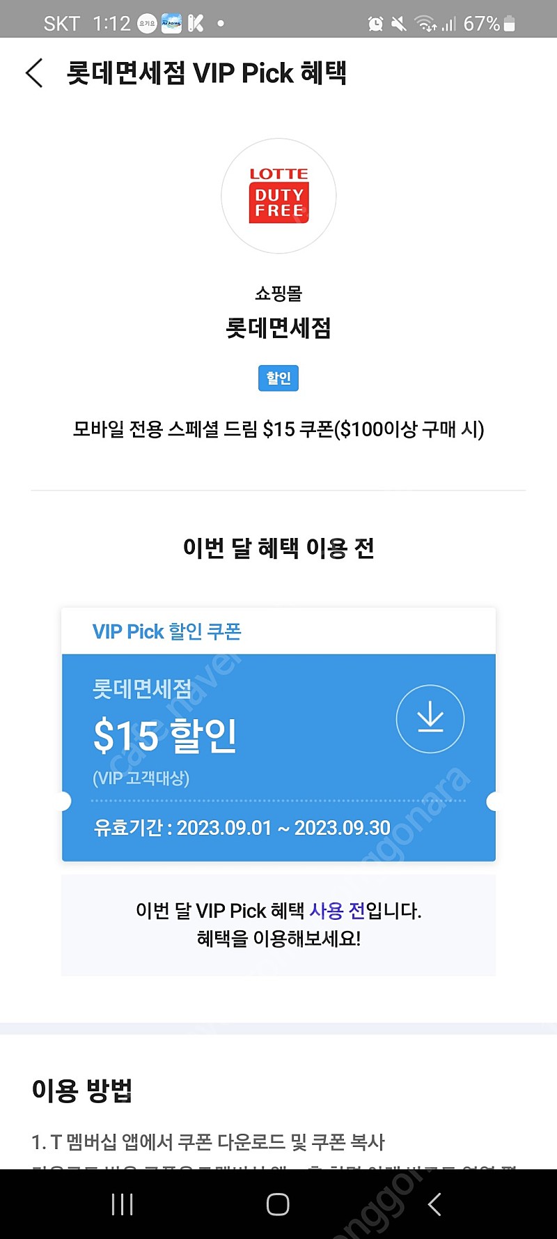 sk vip 롯데면세점 15불 쿠폰 6000원 | 기타 티켓/쿠폰/이용권 | 중고나라