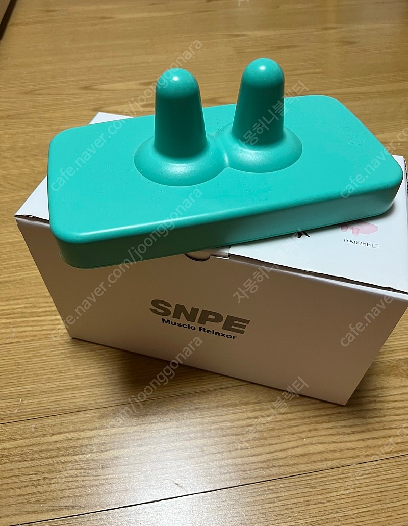 Snpe 다나손 민트 | 요가/필라테스용품 | 중고나라