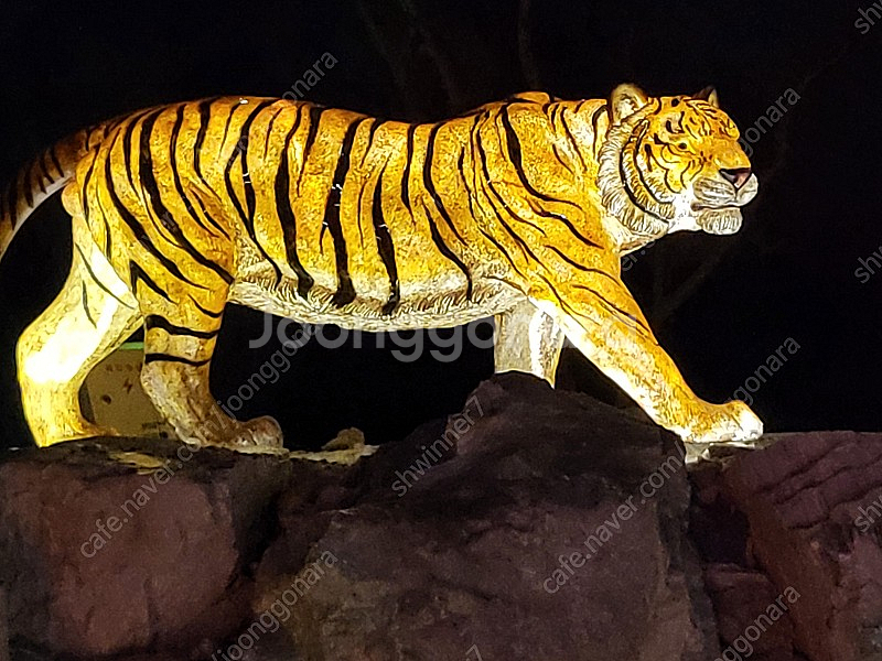 대구 코드제로 A9S 9984WE삽니다 | 세탁기/건조기 | 중고나라