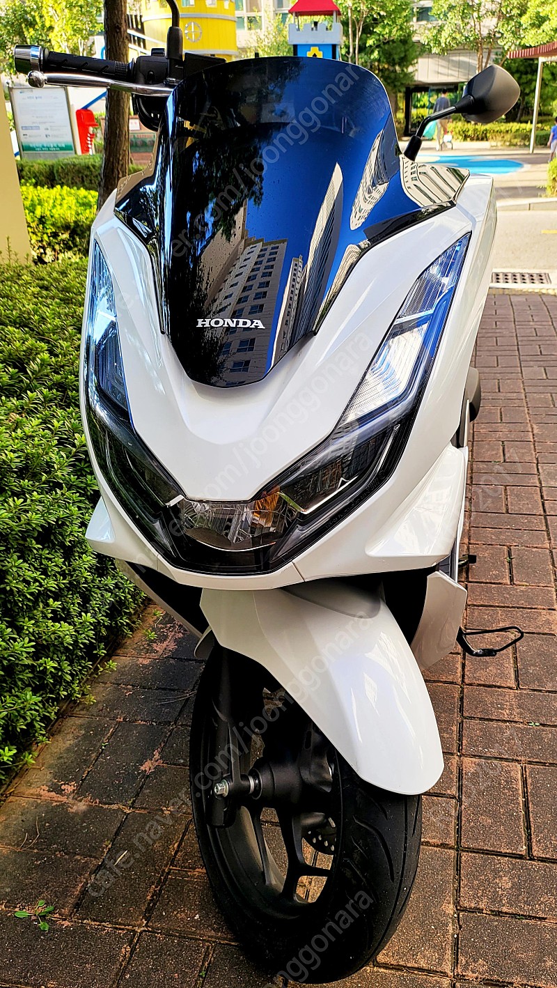 혼다 피씨엑스 PCX | 125cc 이하 | 중고나라