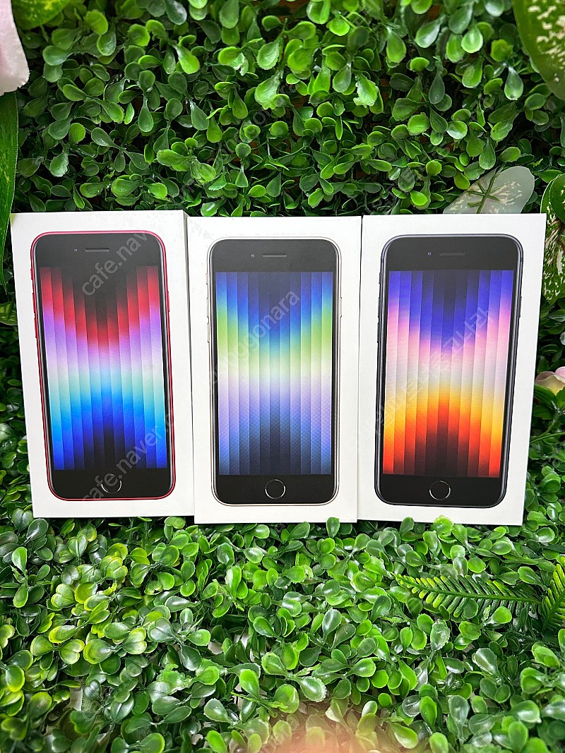 아이폰SE3 64G 블랙 미개봉 새제품 팝니다. | 삼성 | 중고나라