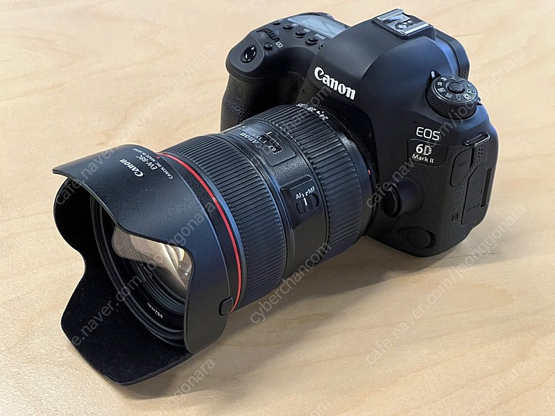 캐논 6D mark2, EF 24-70L II, 600... | DSLR | 중고나라