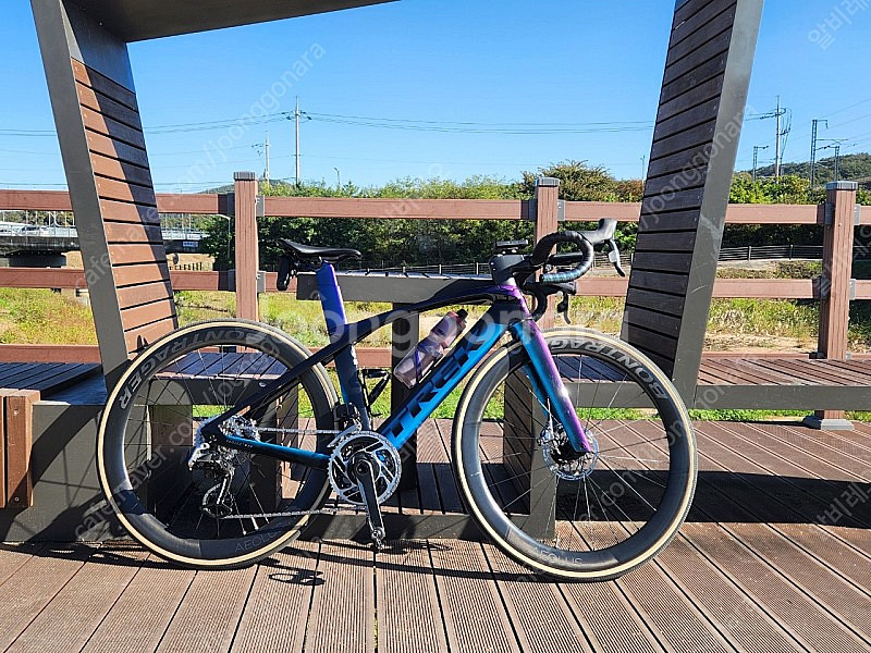 2021 트렉 마돈 slr9 프로젝트원 알케미스트컬러 ... | 로드바이크/사이클 | 중고나라