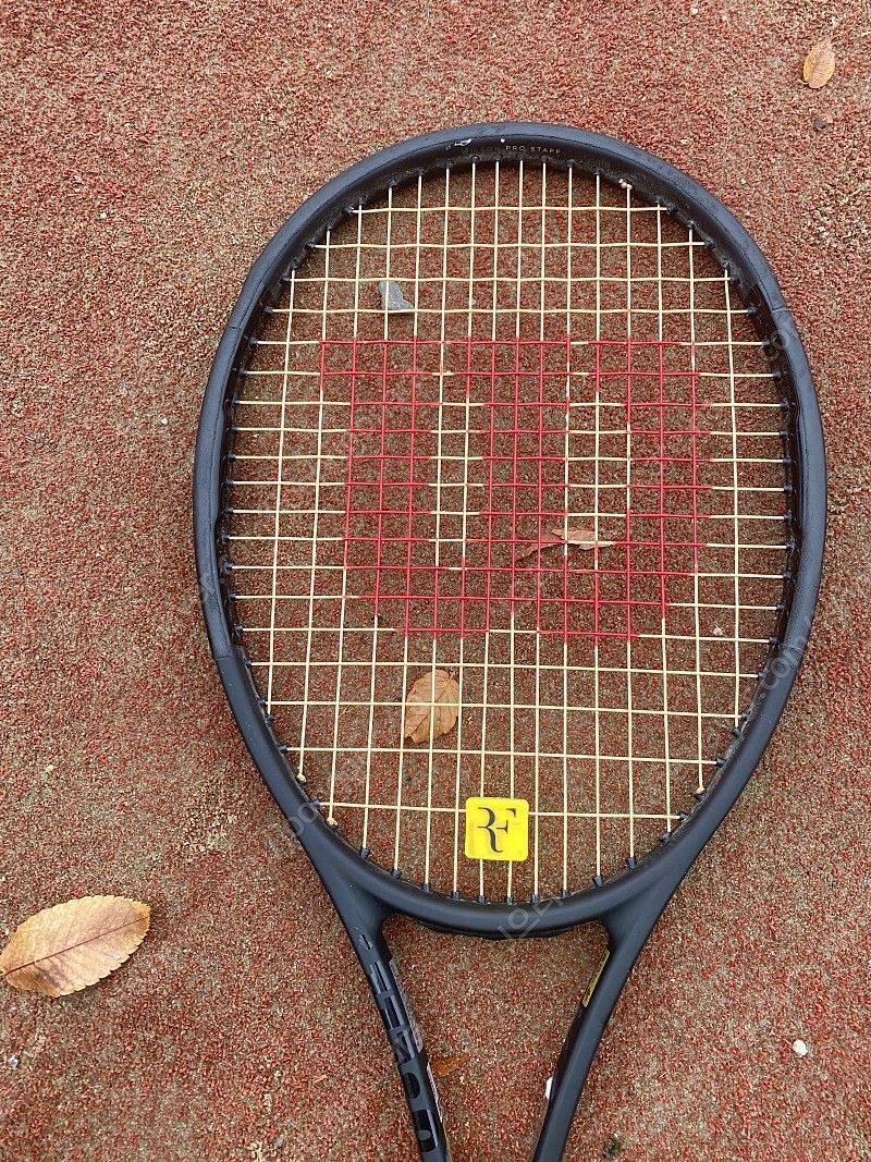 윌슨 프로스태프 v11.5 315g 2그립 16*19 | 기타 스포츠 | 중고나라