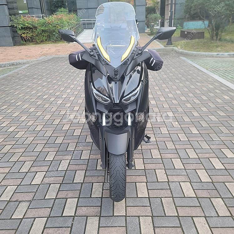 Xmax300 22년식 | 125cc 초과 | 중고나라