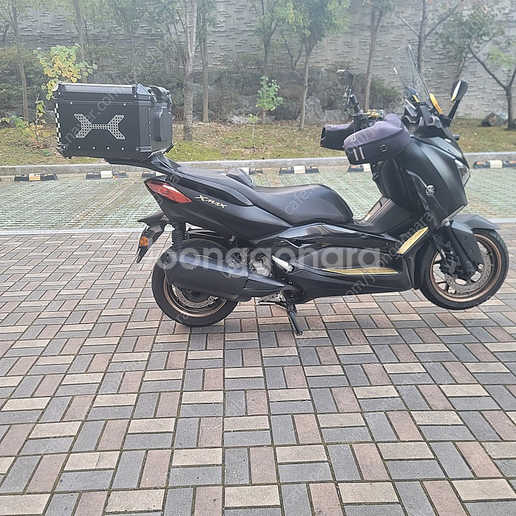 Xmax300 22년식 | 125cc 초과 | 중고나라