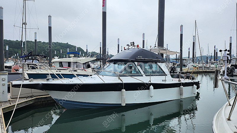 낚시 및 레저 최고봉 야마하FR28 풀세팅 트윈엔진 모... | 낚시용품 | 중고나라