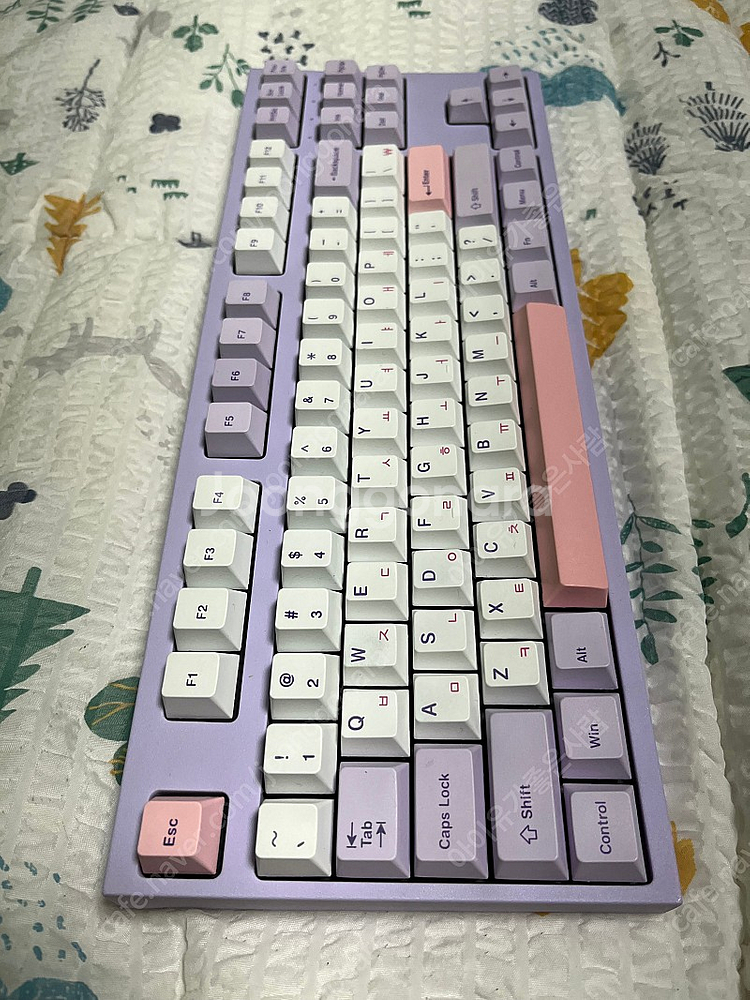 엠스톤 그루브 T87A 퍼플러 은축 풀윤활 키보드 | 키보드/마우스/스피커 | 중고나라