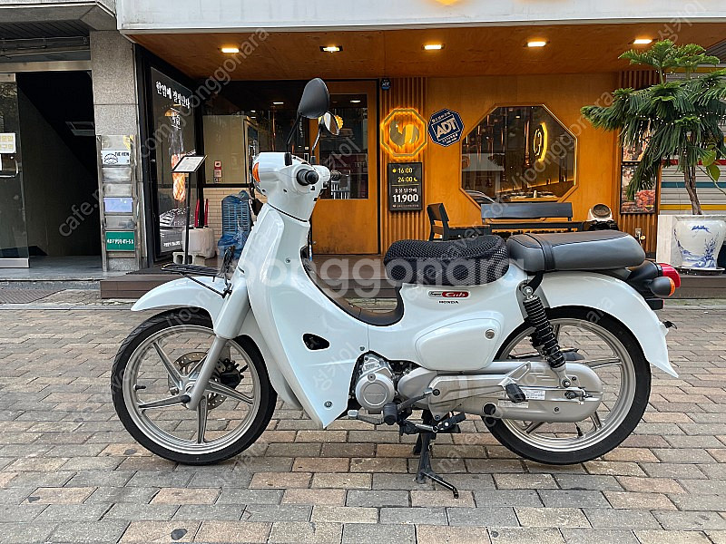 서울 마포구 혼다 2023 슈퍼커브 110cc 화이트 ... | 125cc 이하 | 중고나라