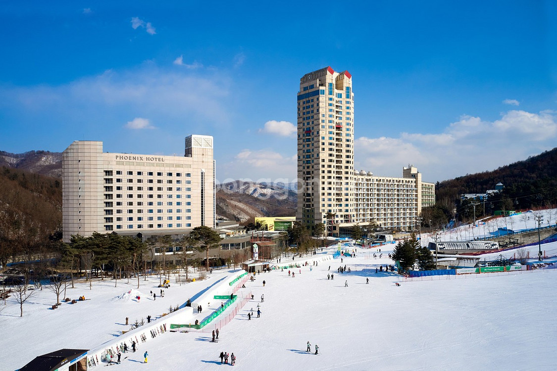 12월 9일 휘닉스파크 알펜시아 스키장 숙소 양도합니다 여행숙박이용권 중고나라