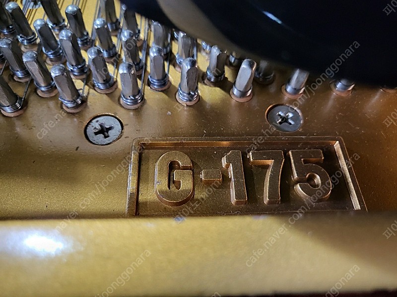 [판매] 겨울맞이 특가할인! 영창 G175/G185 블... | 건반악기 | 중고나라