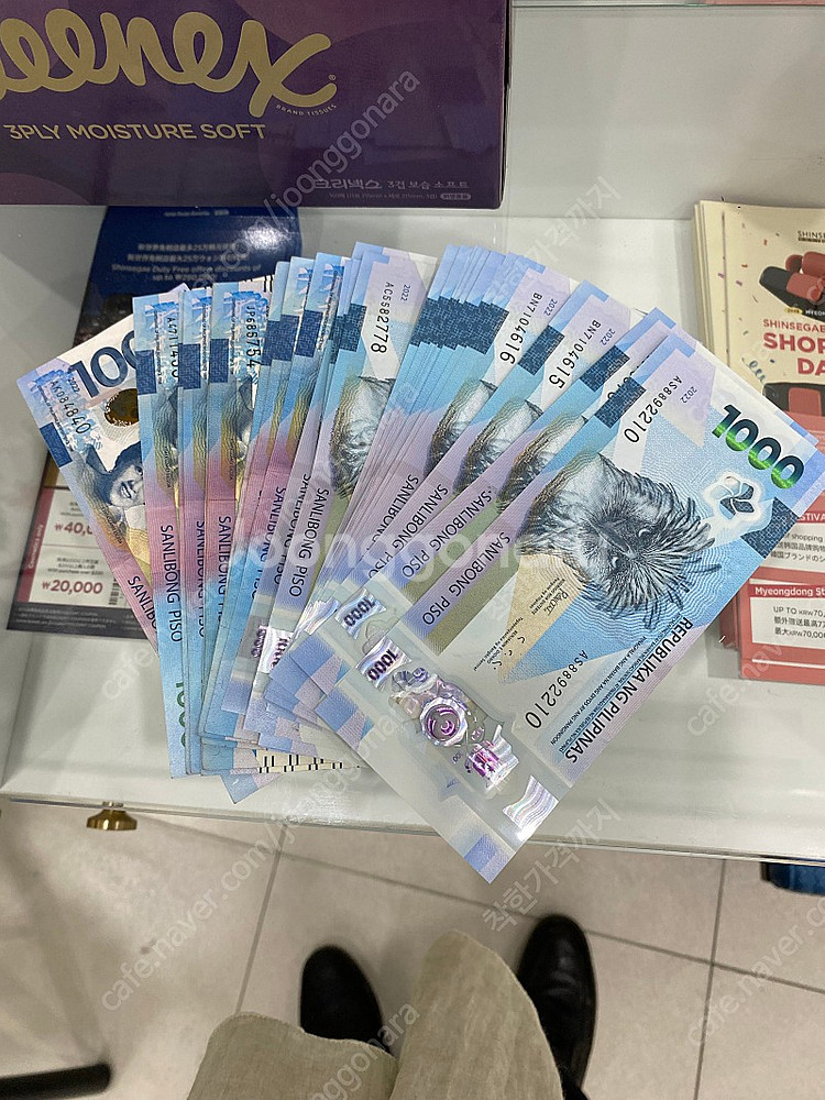 페소 3만페소 필리핀 돈 페소화 기타 티켓쿠폰이용권 중고나라