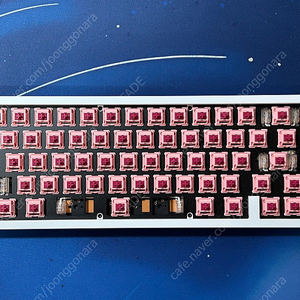 배가키보드 중고거래 | 중고나라