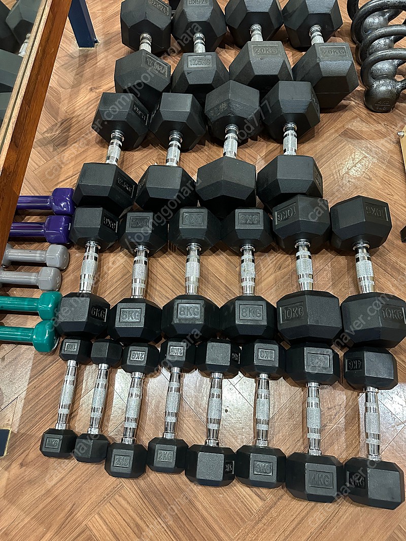 덤벨 1KG/2KG/3KG/4KG/6KG/8KG/10K... | 헬스용품 | 중고나라