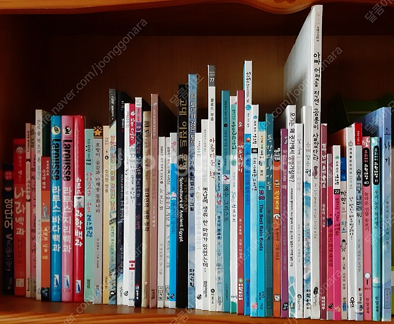 초등 필독서권장도서내일은 실험왕학습만화 등 판매합 유아동도서음반 중고나라