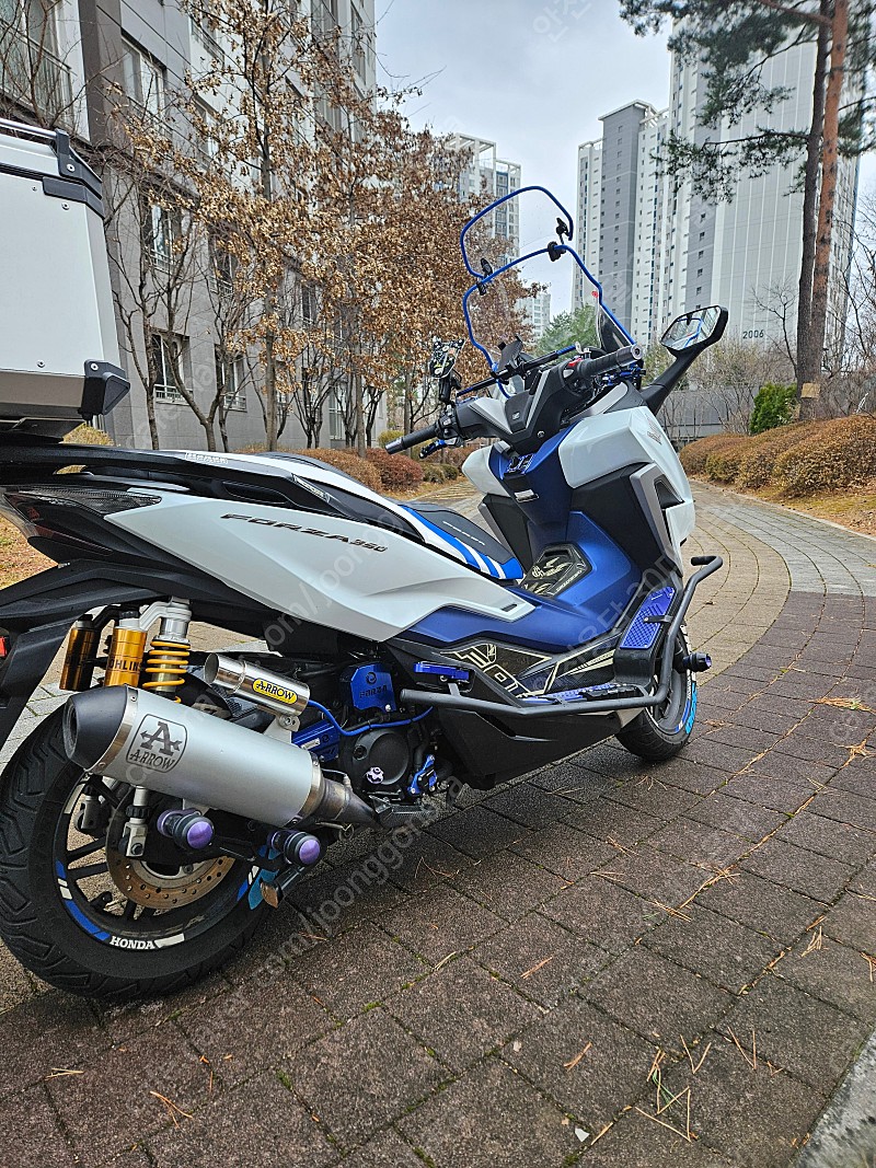 포르자350 흰파 2021년식 팝니다 | 125cc 초과 | 중고나라