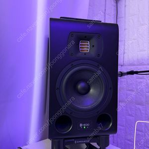 hedd type 중고거래 | 중고나라