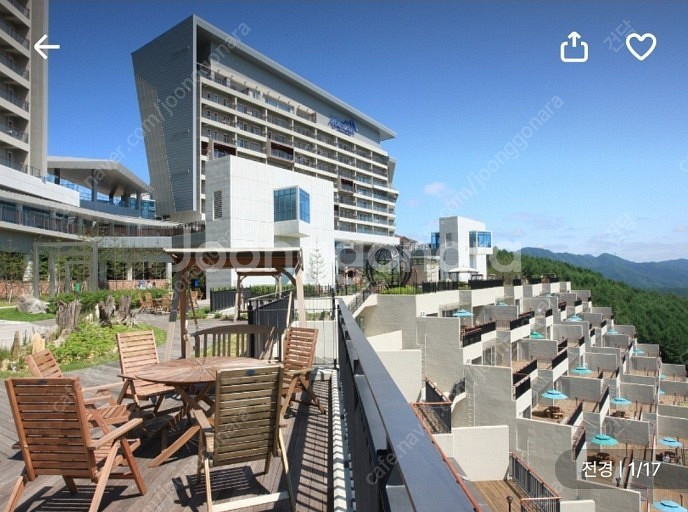 1월 2월 하이원리조트콘도 마운틴 힐 밸리 그랜드호텔 여행숙박이용권 중고나라