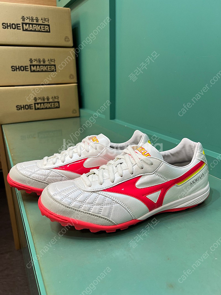 모렐리아 살라 JP TF 260 (Q1GB230064)... | 중고나라 - 안심되는 중고거래