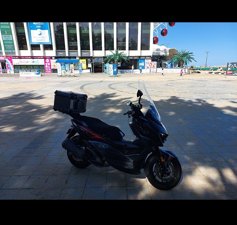 존테스 310m 팝니다 서울 | 125cc 초과 | 중고나라