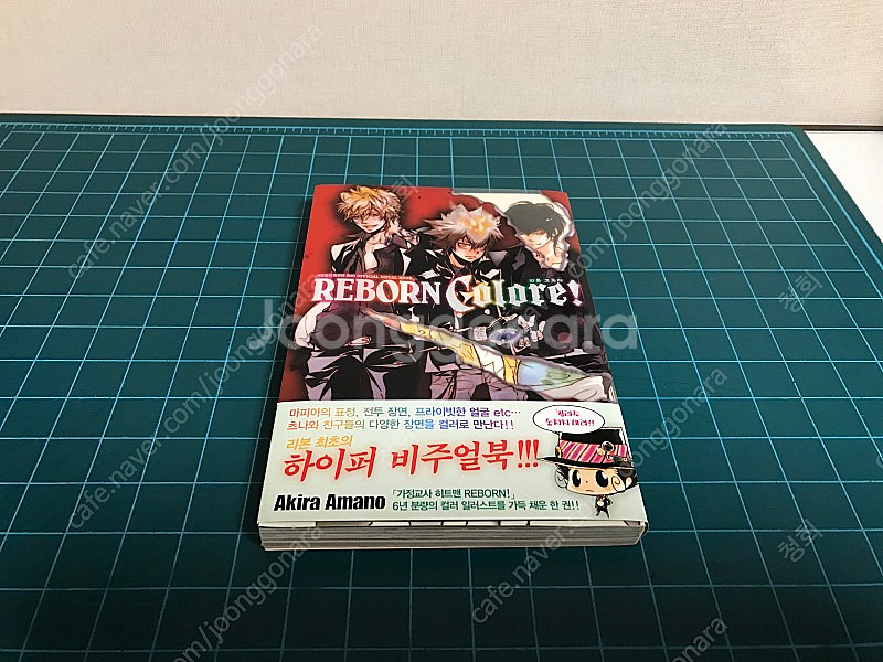 만화 가정교사 히트맨 리본 코로레 가히리 비주얼북 아트 소설만화책 중고나라