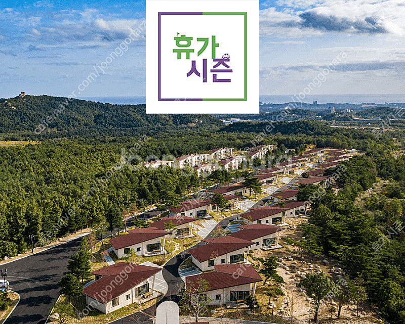 켄싱턴리조트 설악밸리설악비치경주충주 설연휴 여행숙박이용권 중고나라