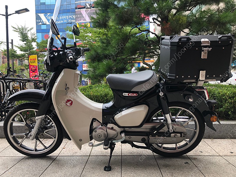 혼다 슈퍼커브c125 2020년식 | 125cc 이하 | 중고나라