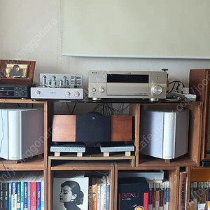 미션 스피커 중고거래 | 중고나라