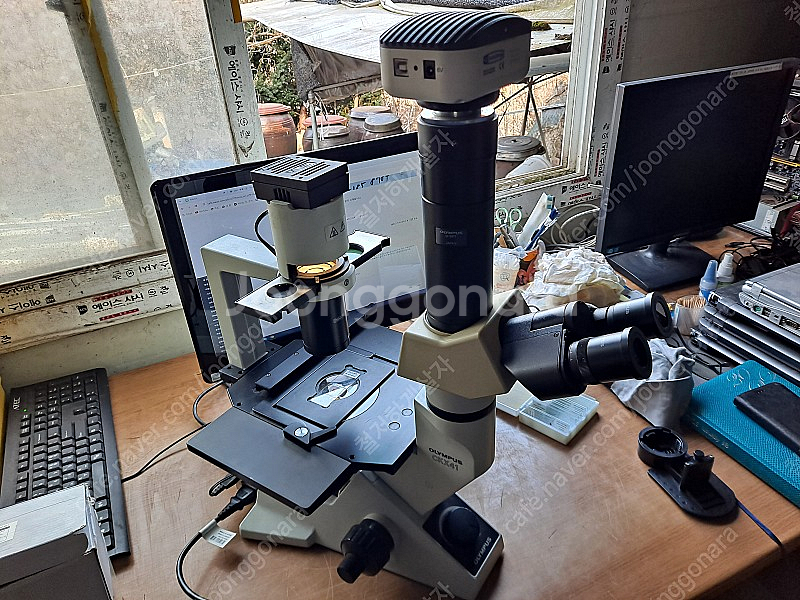OLYMPUS CKX41 올림푸스 도립현미경 | 중고나라 카페에서 운영하는 공식 사이트