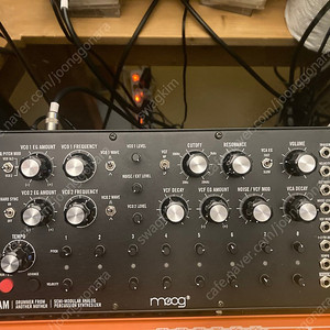 Moog 중고거래 | 중고나라 카페에서 운영하는 공식 사이트