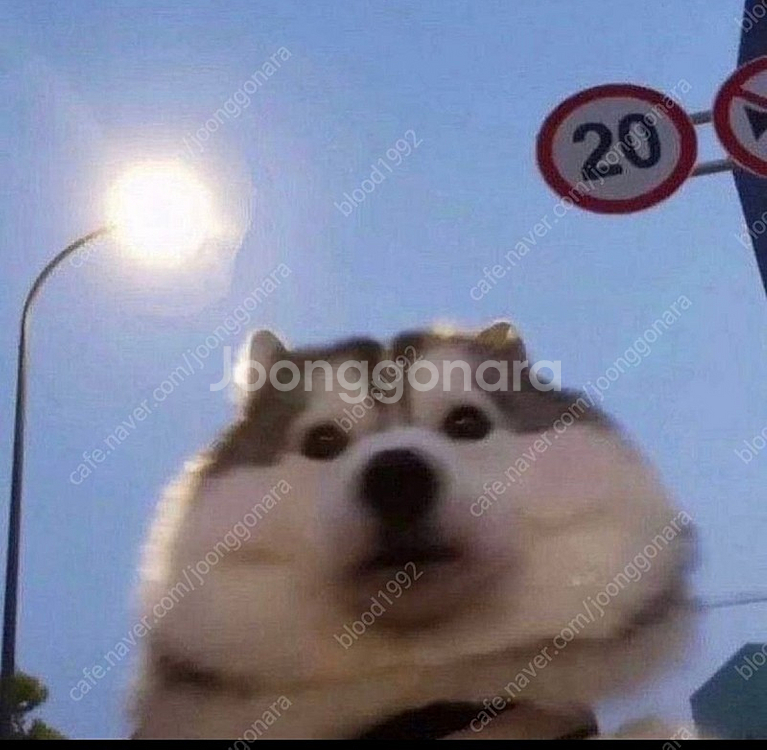 fasdfasdf | 중고나라 카페에서 운영하는 공식 사이트