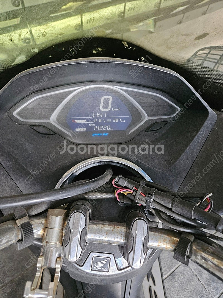 [서울] pcx 19년식 14200KM 200만원에 판... | 중고나라 카페에서 운영하는 공식 사이트