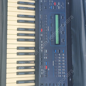 Ms50 중고거래 | 중고나라 카페에서 운영하는 공식 사이트