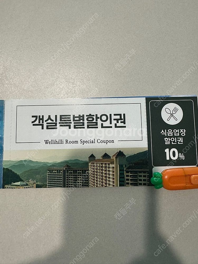웰리힐리파크 쿠폰북 판매d033 객실 할인권4매 중고나라 카페에서 운영하는 공식 사이트