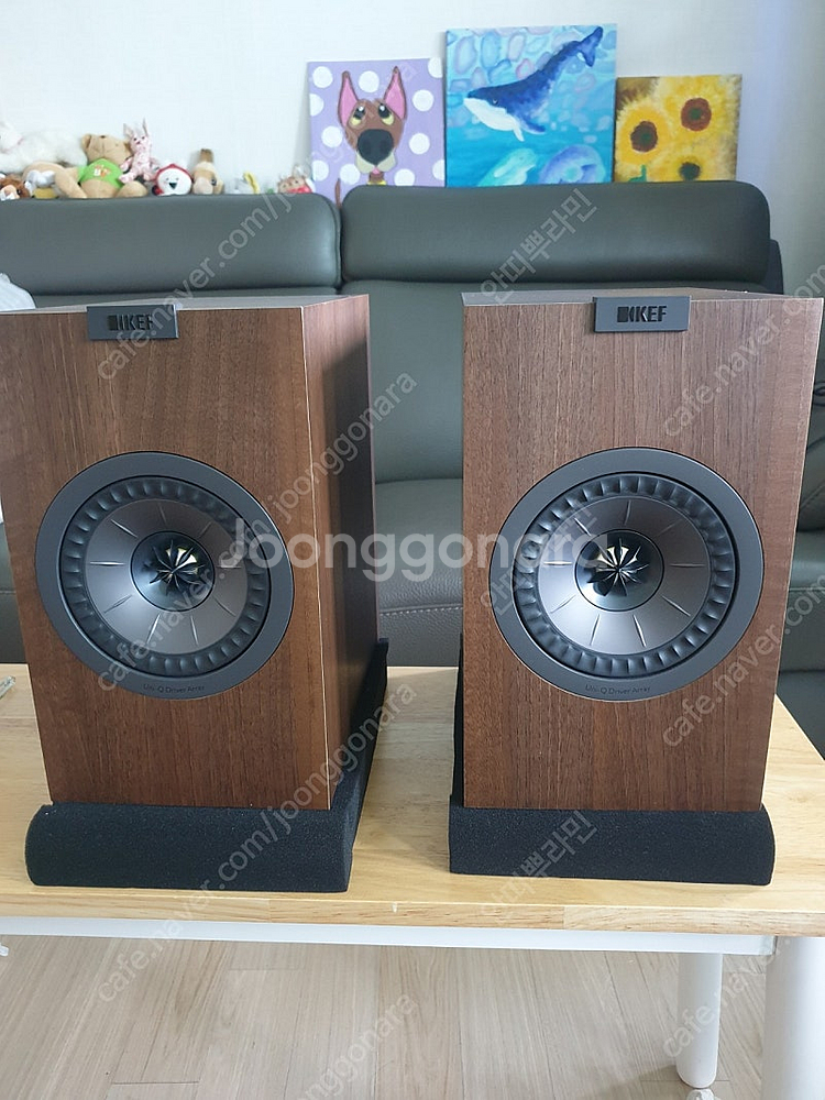 KEF Q150 | 중고나라 카페에서 운영하는 공식 사이트