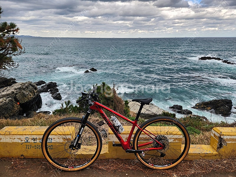 부산) 2022 엘파마 판타시아 풀카본 mtb s29 ... | 중고나라 카페에서 운영하는 공식 사이트