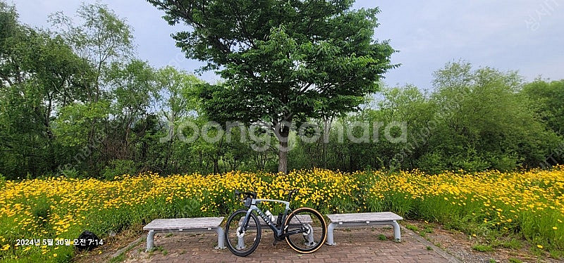 리파인드4 울테그라 풀카본 로드 중고나라 카페에서 운영하는 공식 사이트