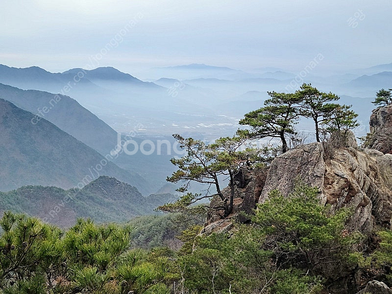 SKT데이터 2GB | 중고나라 카페에서 운영하는 공식 사이트