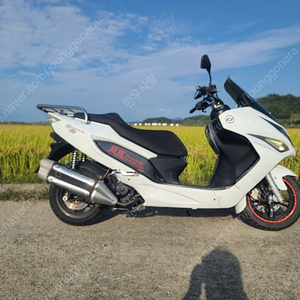 q2오토바이 중고거래 | 중고나라 카페에서 운영하는 공식 사이트