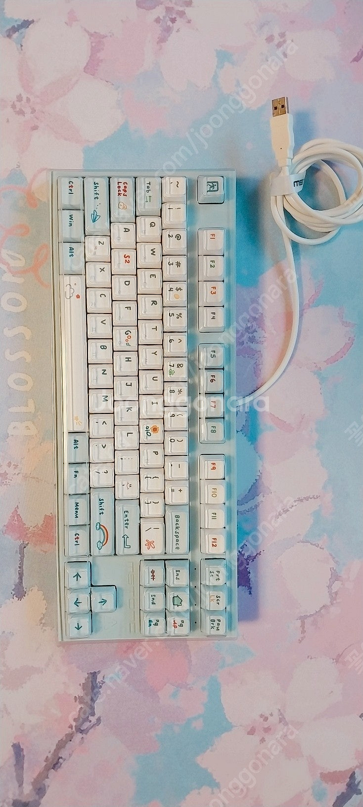 엠스톤 키보드 GV10 저소음코랄축(45g) 블루 텐키... | 중고나라 카페에서 운영하는 공식 사이트