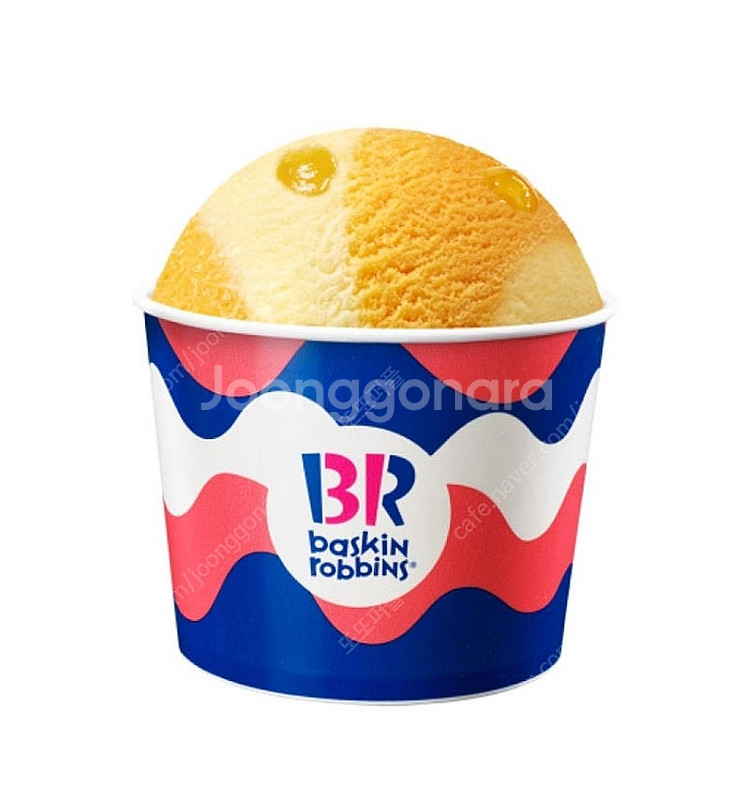 배스킨라빈스 패밀리 베스킨라빈스 아이스크림 중고나라 카페에서 운영하는 공식 사이트