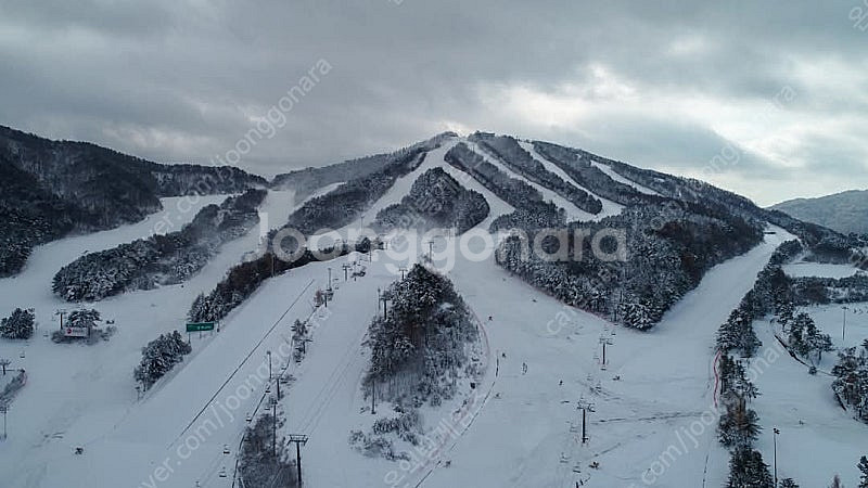 12월 성수기 할인예약 웰리힐리 스키장 콘도 중고나라 카페에서 운영하는 공식 사이트