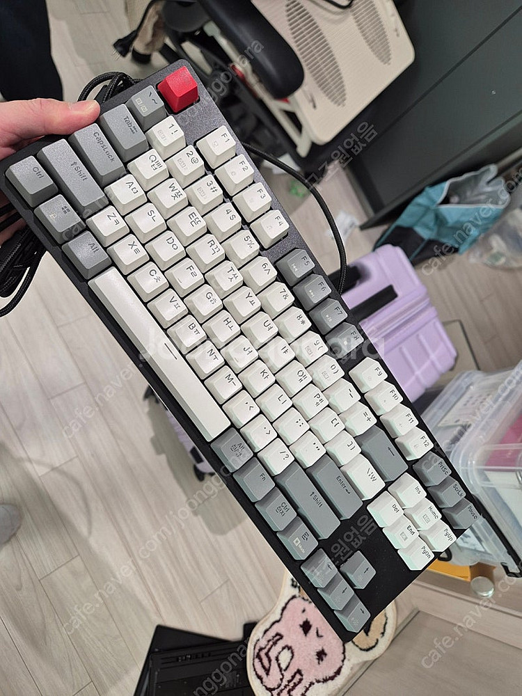 앱코 K511 v2 기계식 키보드 | 중고나라 카페에서 운영하는 공식 사이트
