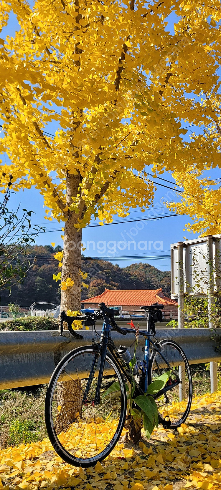 첼로 케인 s8 (20년식) (울테그라, 체인 크랭크 ... | 중고나라 카페에서 운영하는 공식 사이트