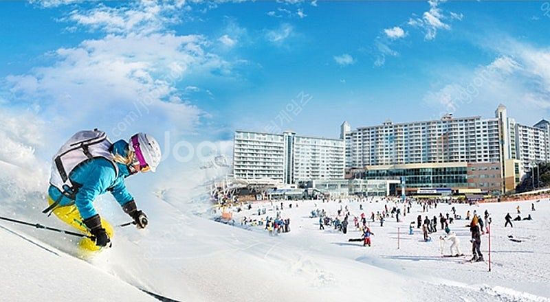 할인예약 웰리힐리 스키장콘도 125토 설연휴 중고나라 카페에서 운영하는 공식 사이트