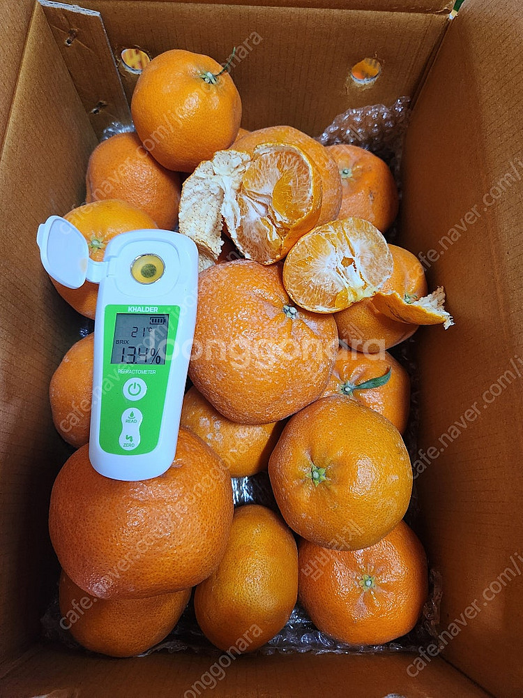 새콤달콤 맛있는귤 당도선별 레드향 제주레드향 맛보세요 중고나라 카페에서 운영하는 공식 사이트