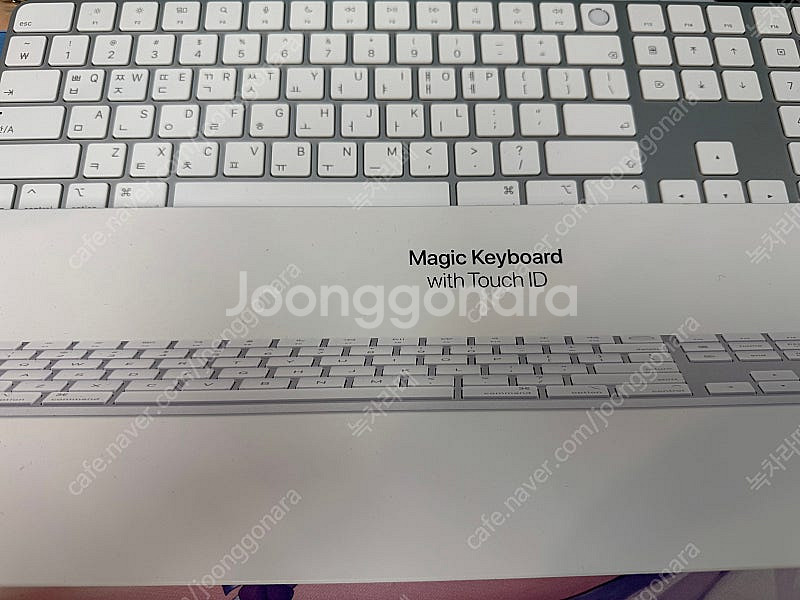 애플 매직키보드 A3119 (터치ID) | 중고나라 카페에서 운영하는 공식 사이트
